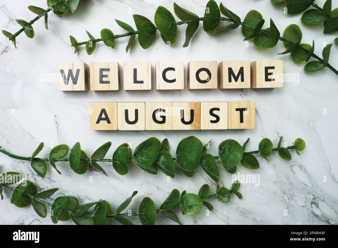 Welcome August alphabet letters with eucalyptus leaf top view on marble ...
