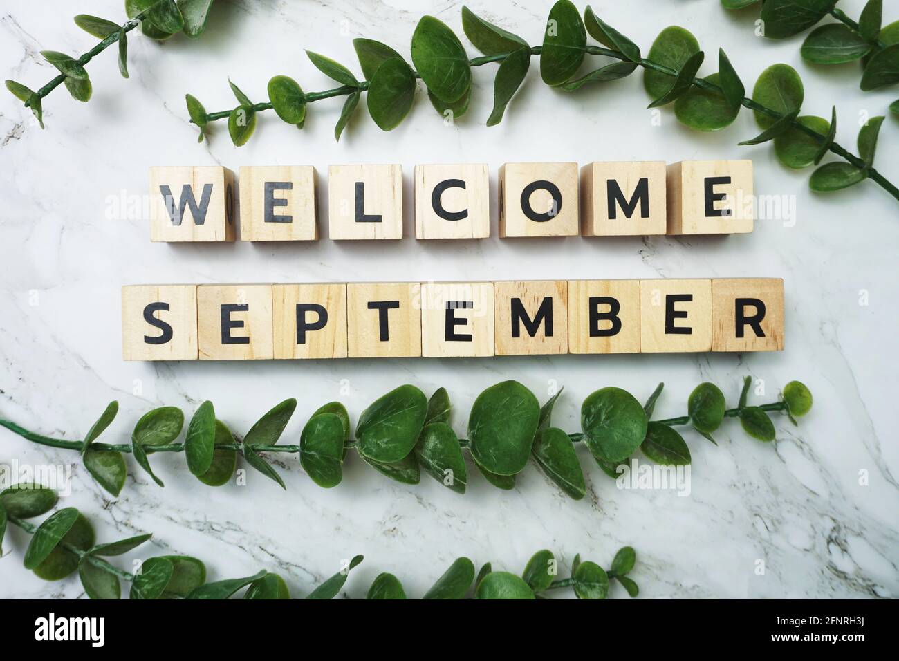 Welcome September alphabet letter with green leave flat lay on marble ...