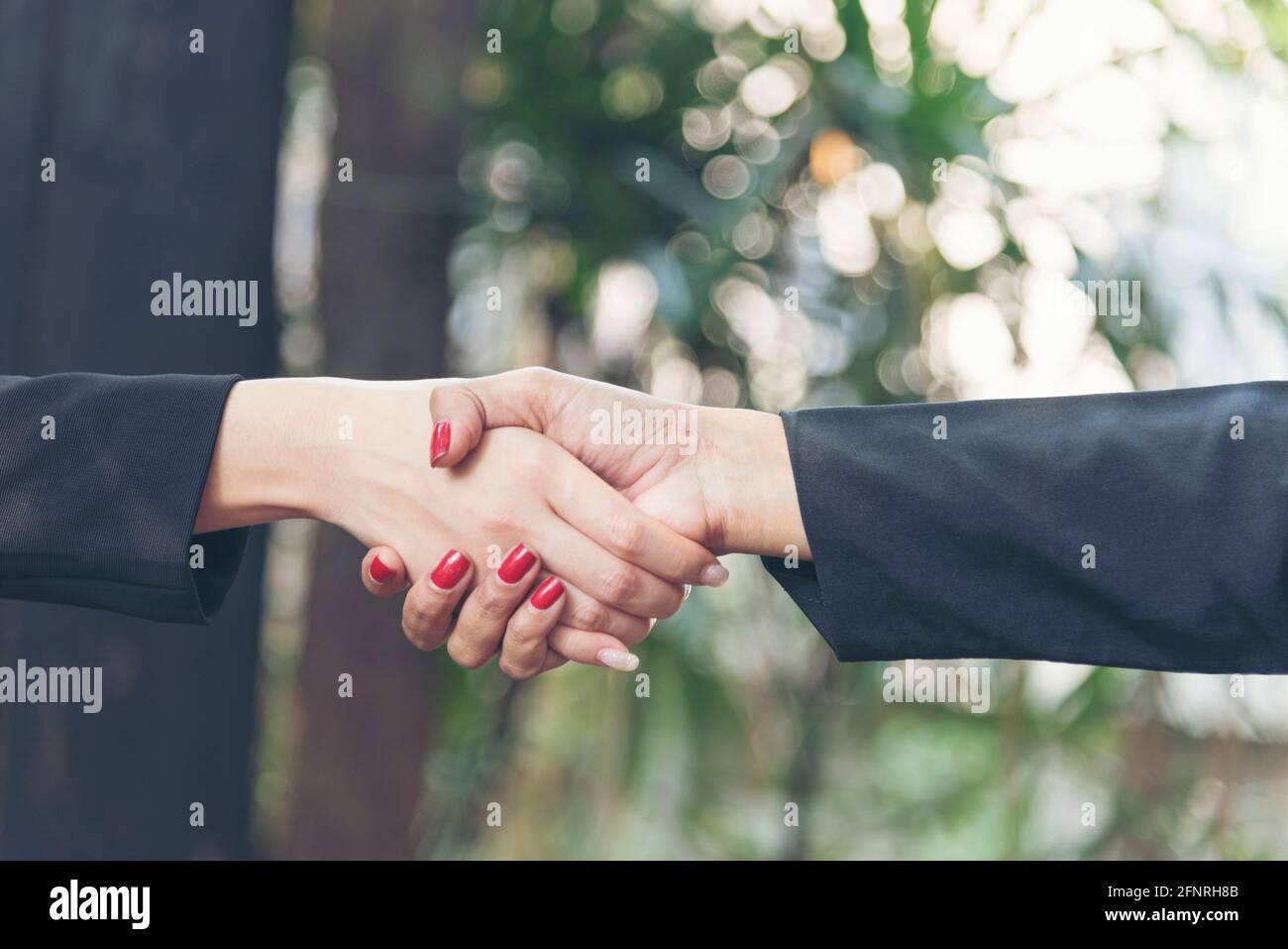 Partnership concept Hand shake business partners teamwork.Trust ...