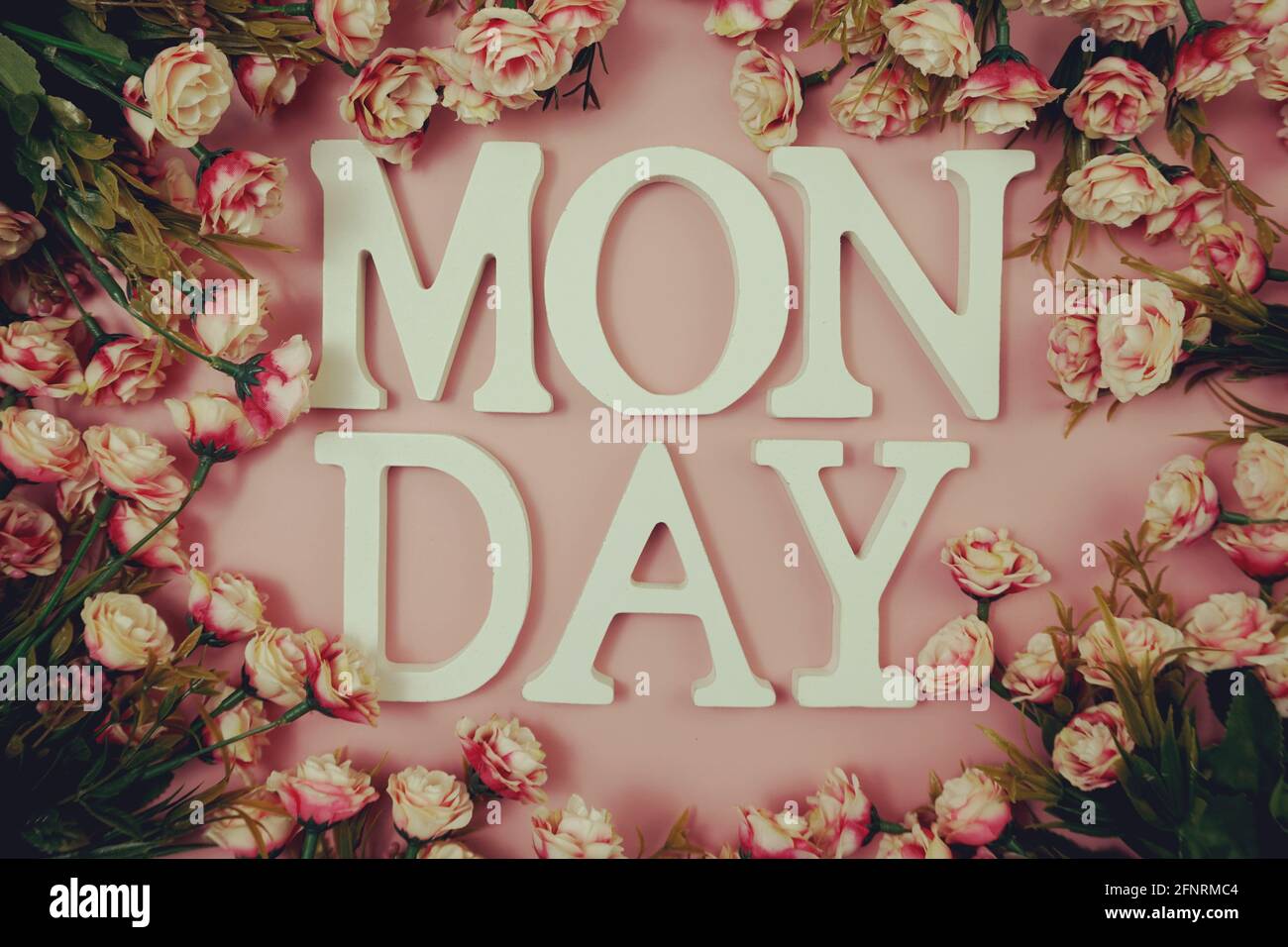 Monday alphabet letter with Blooming flower on pink background Stock ...