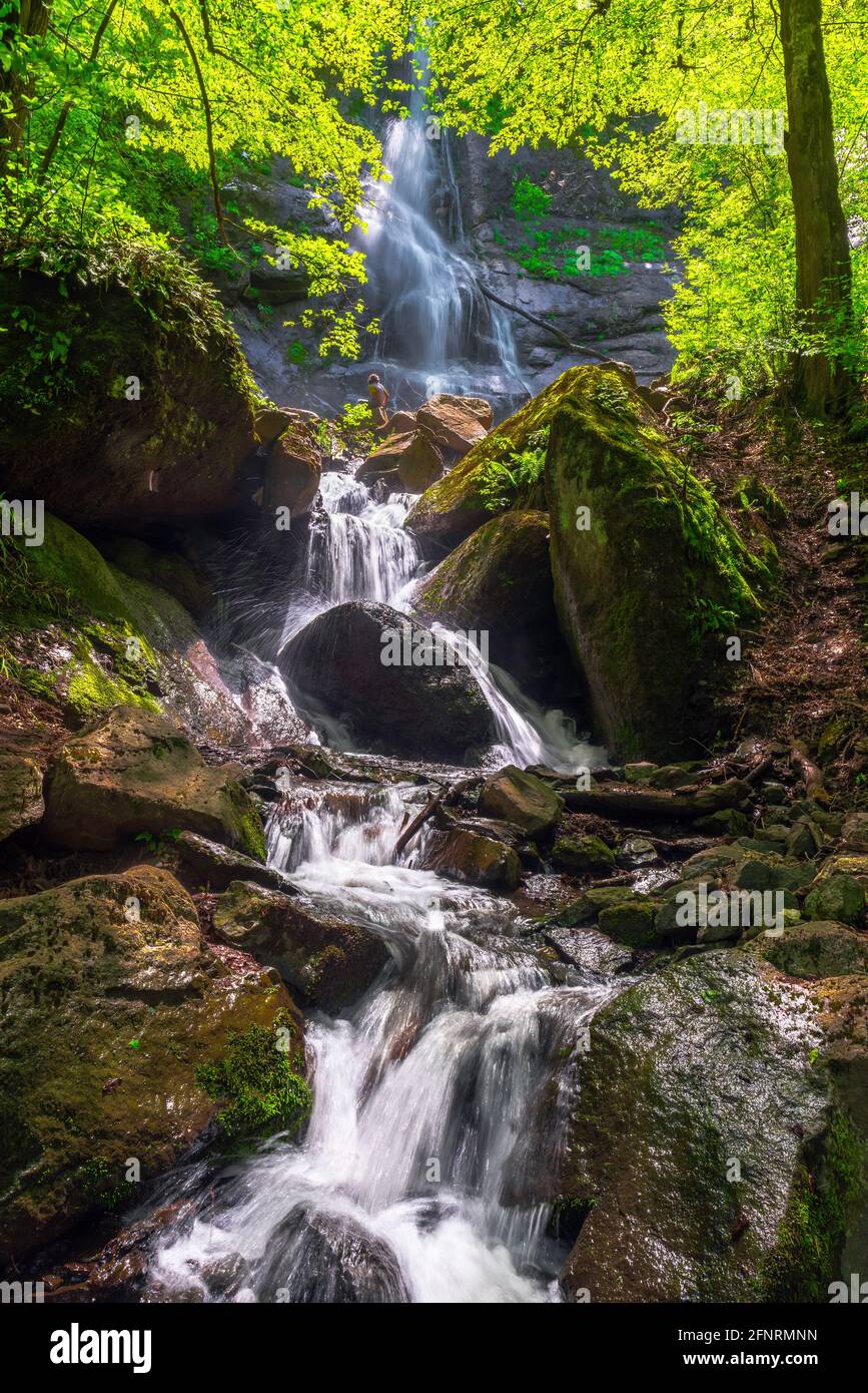 Beautiful waterfall in the green forest Stock Photo - Alamy