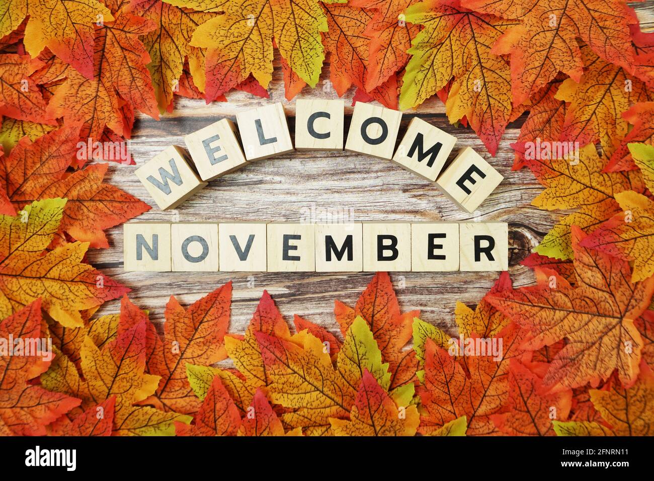 Welcome November alphabet letter with maple leaves frame on wooden ...