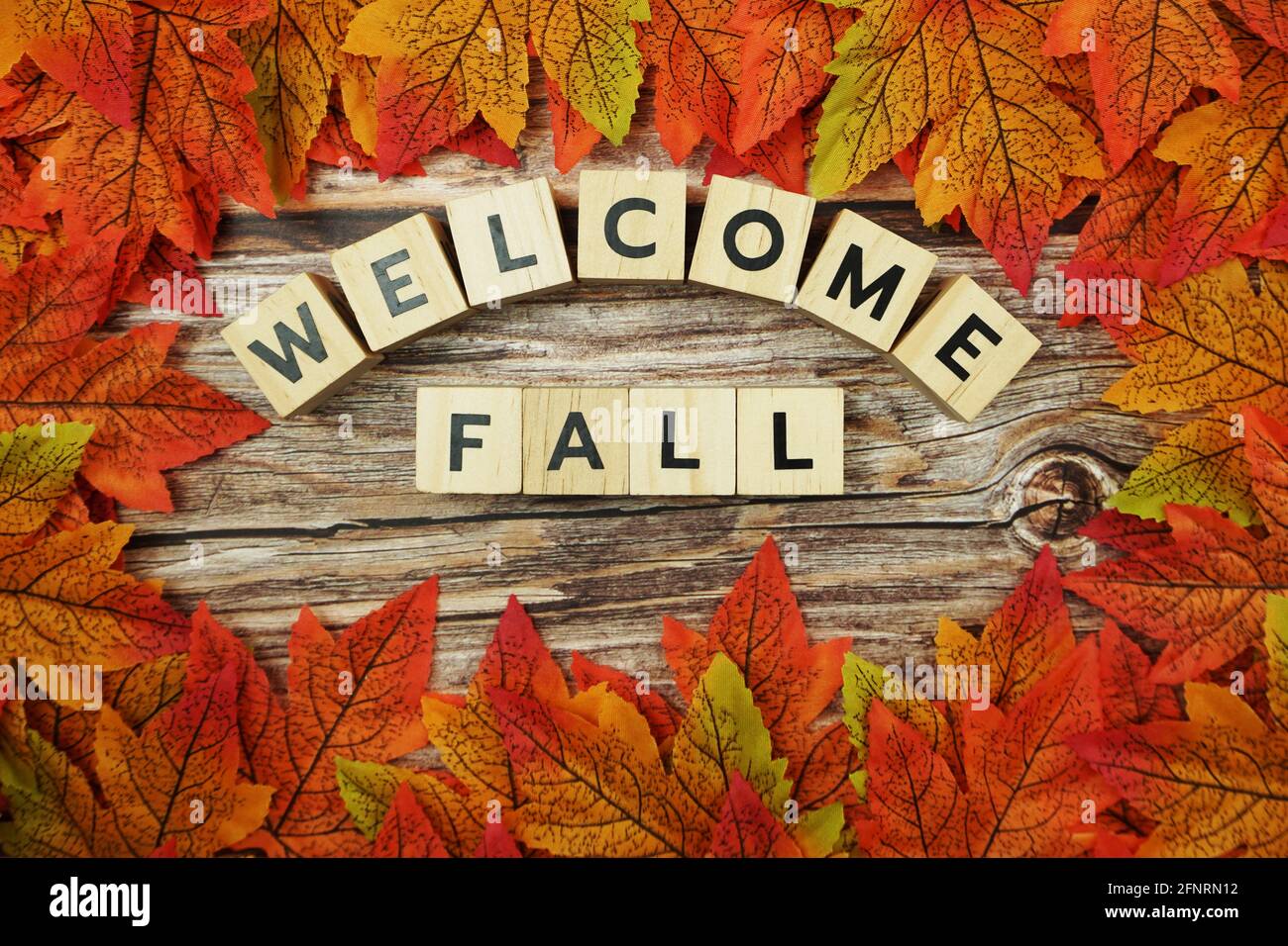 Welcome Fall alphabet letter with maple leaves frame on wooden ...