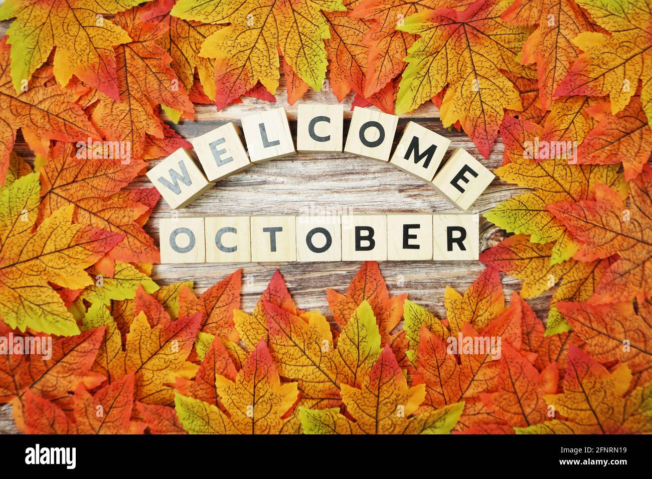 Welcome October alphabet letter with maple leaves frame on wooden ...