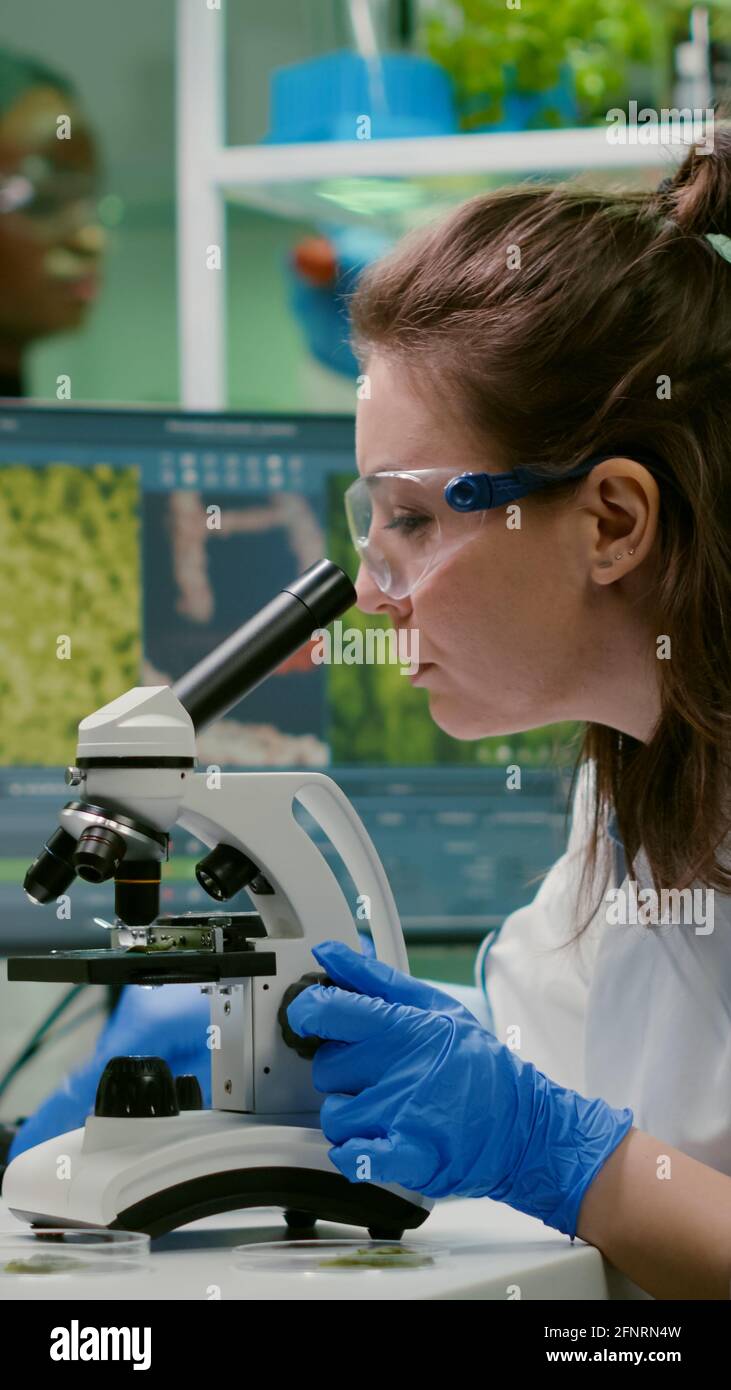 Scientist doctor analyzing botanical plants hi-res stock photography ...