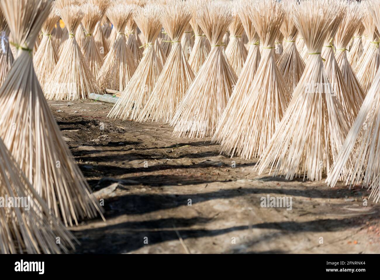 Anji province hi-res stock photography and images - Alamy