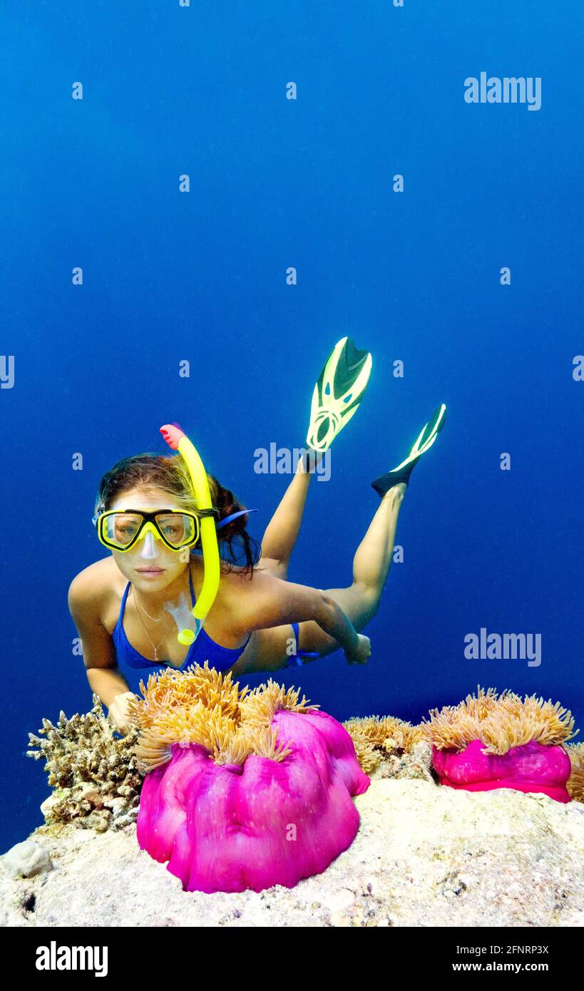 Bikini Snorkel High Resolution Stock Photography and Images - Alamy