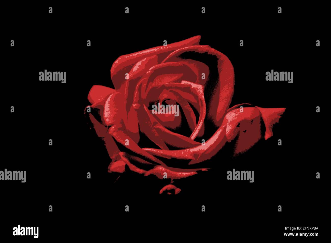 A digital design of an abstract rose or flower in shades of red ...
