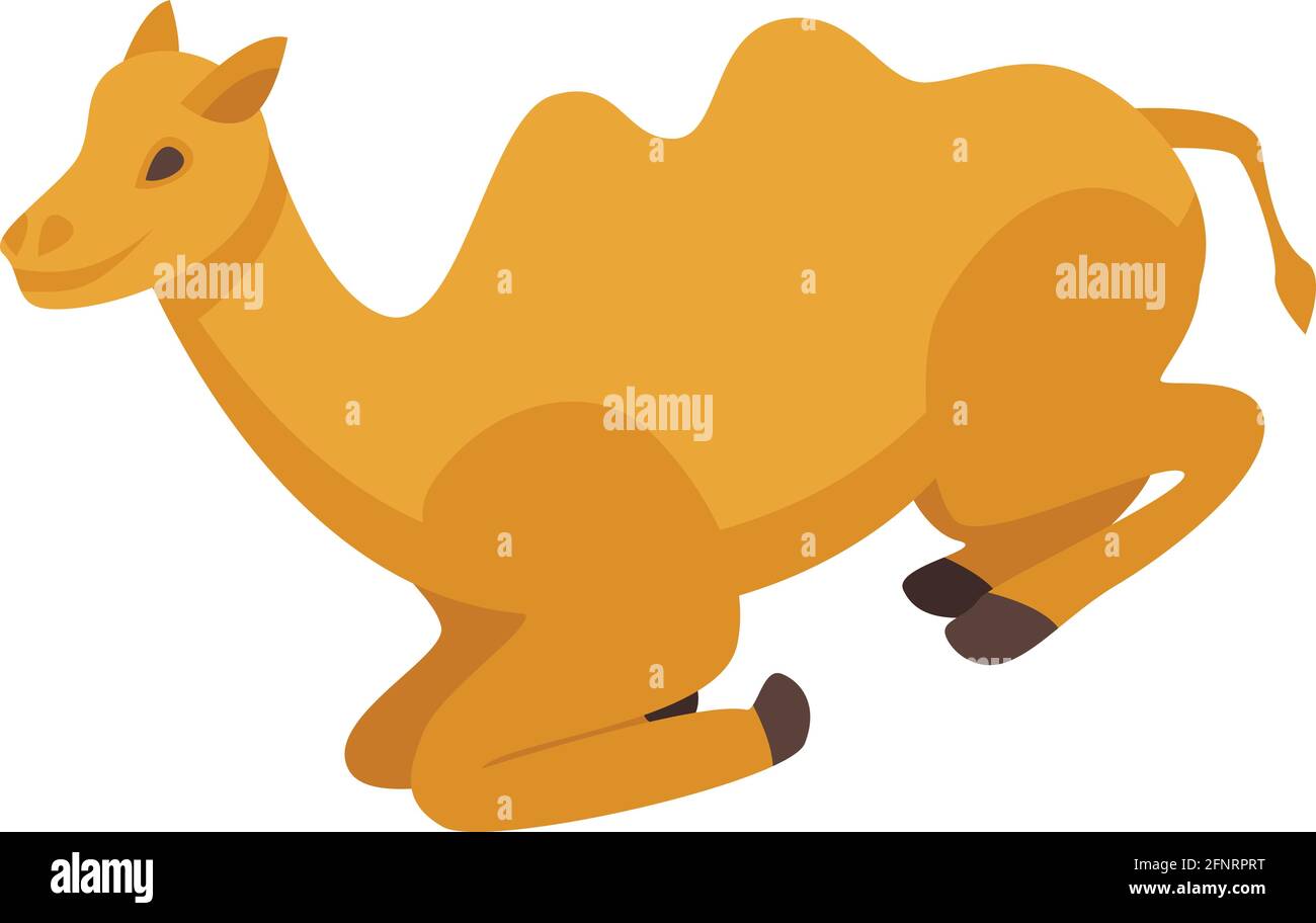 Egypt camel icon. Isometric of Egypt camel vector icon for web design ...