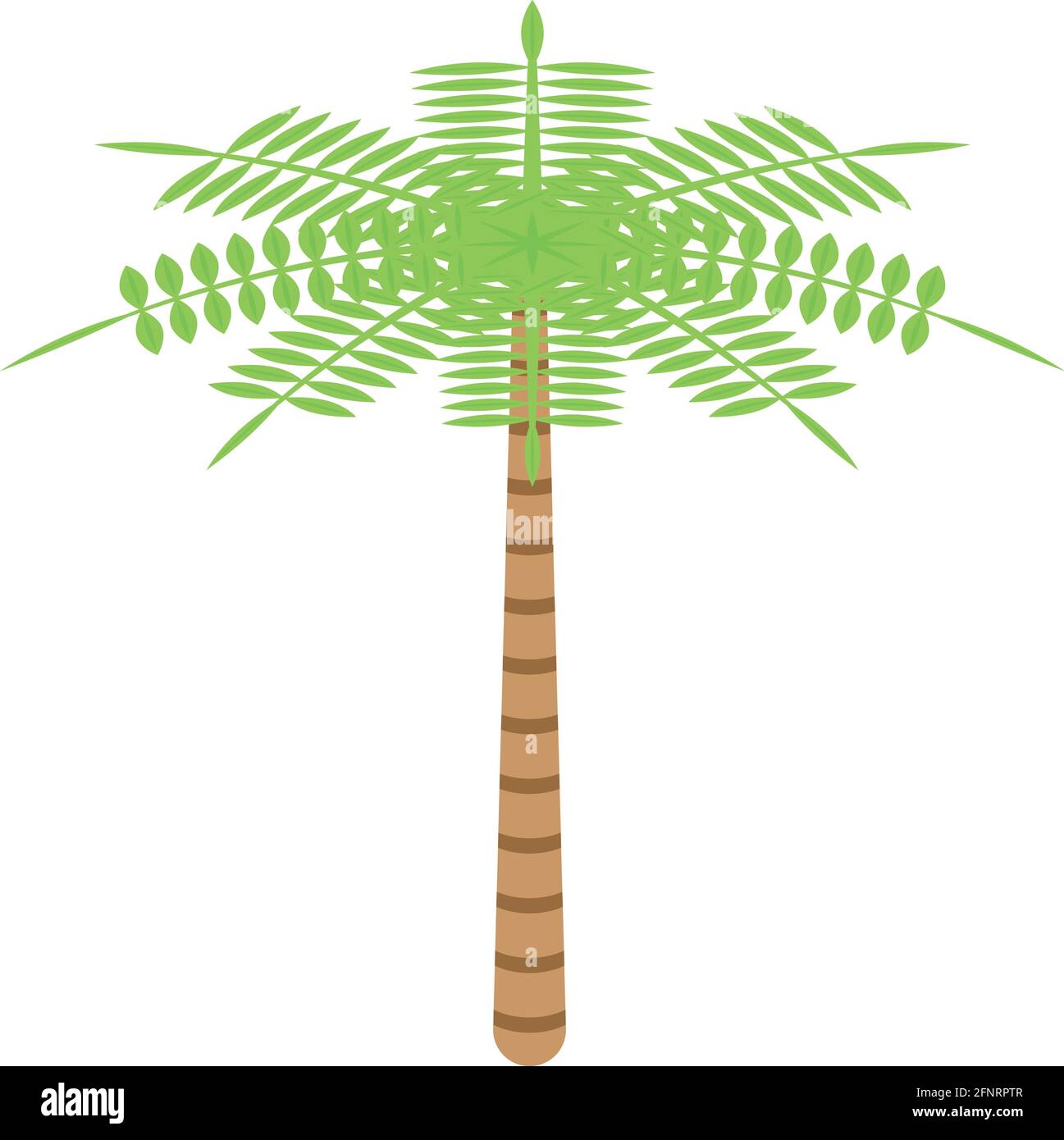 Desert palm icon. Isometric of Desert palm vector icon for web design ...