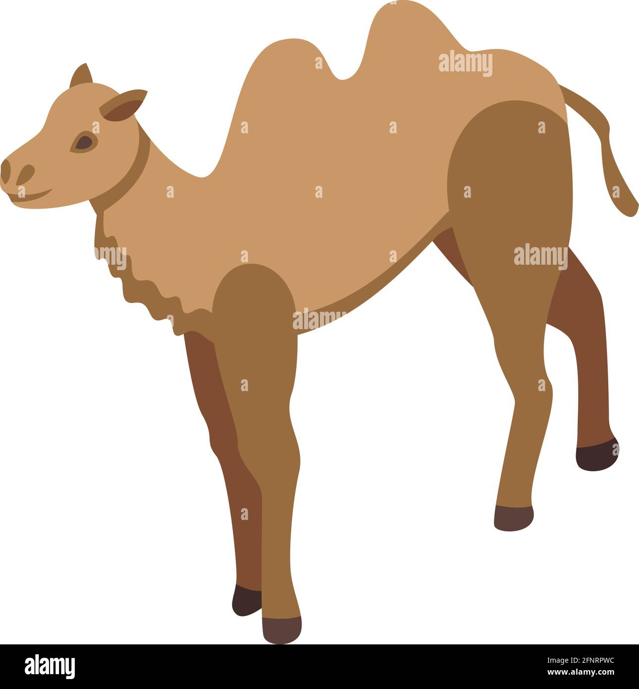 Tourism camel icon. Isometric of Tourism camel vector icon for web ...