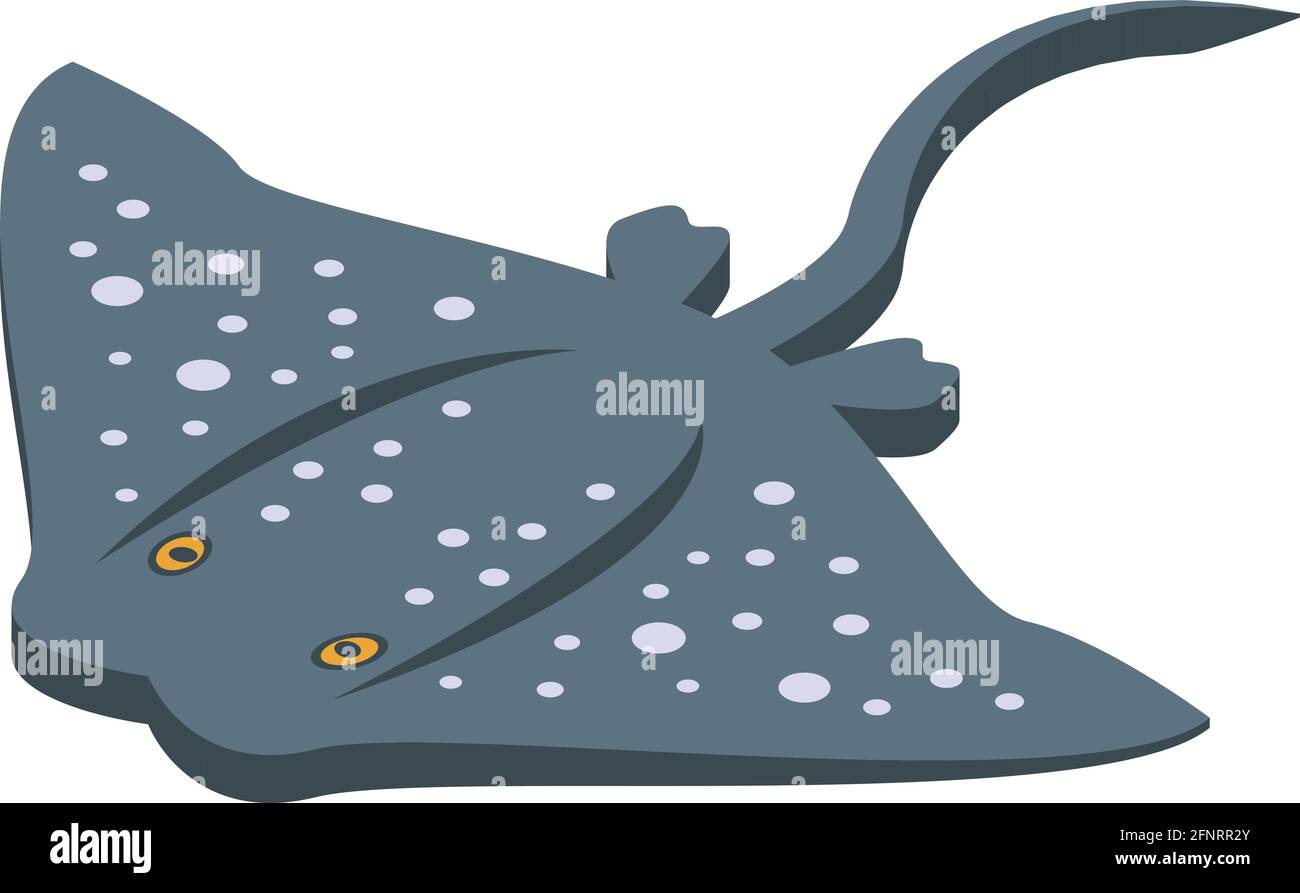 Stingray Designs