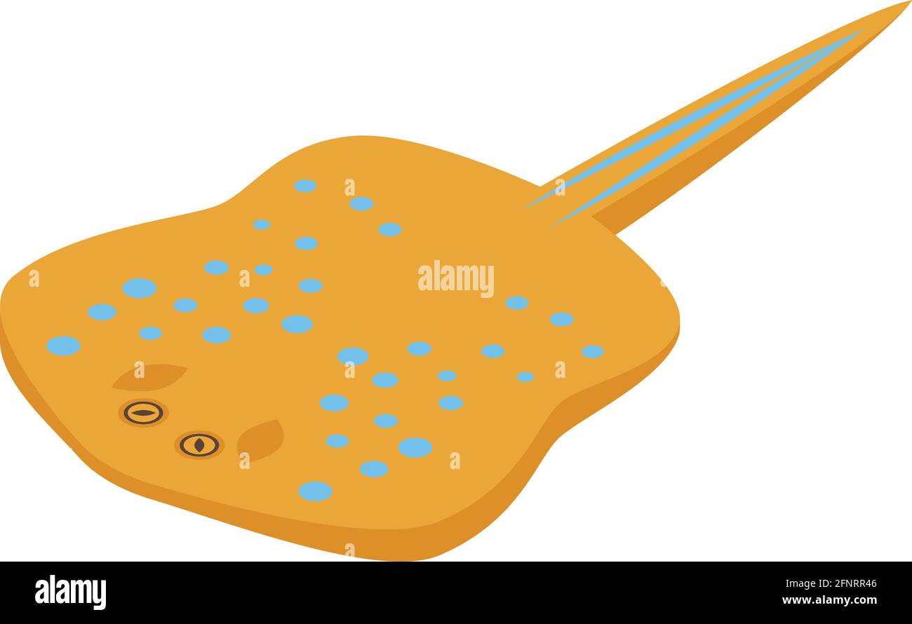 Hunter stingray icon. Isometric of Hunter stingray vector icon for web ...