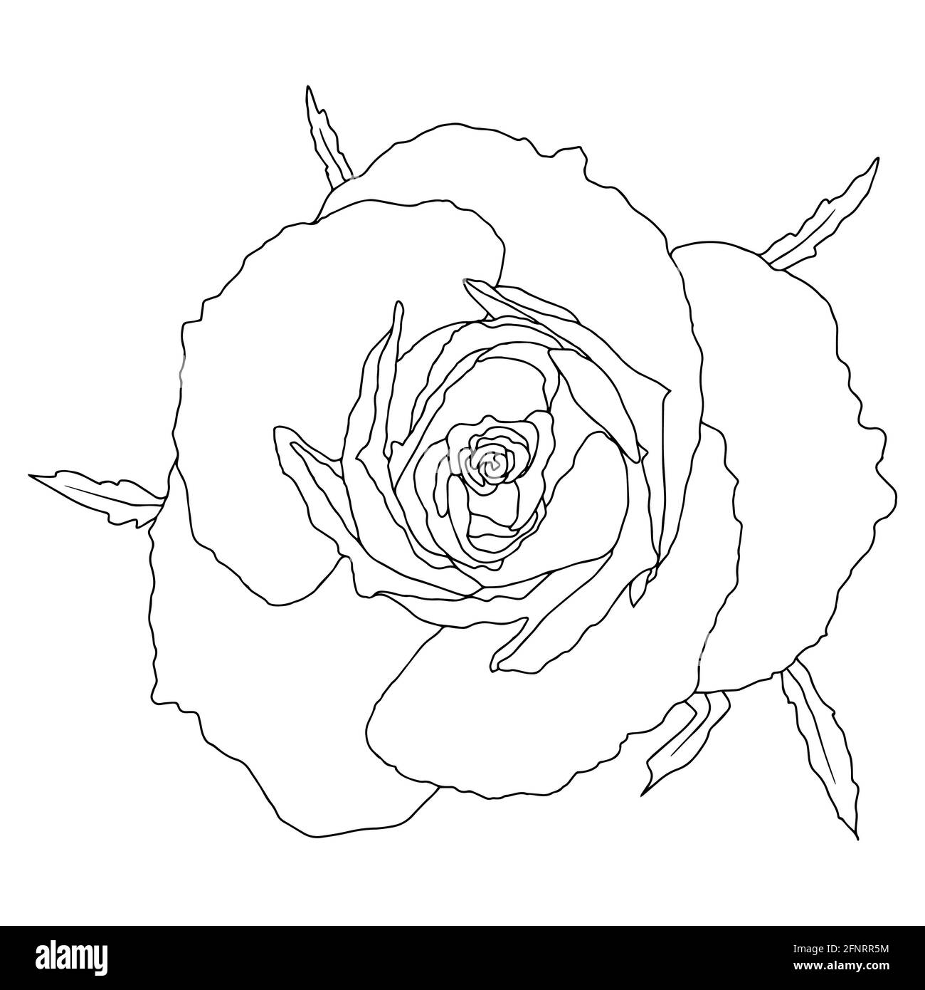 Leaf coloring pages hi-res stock photography and images - Alamy