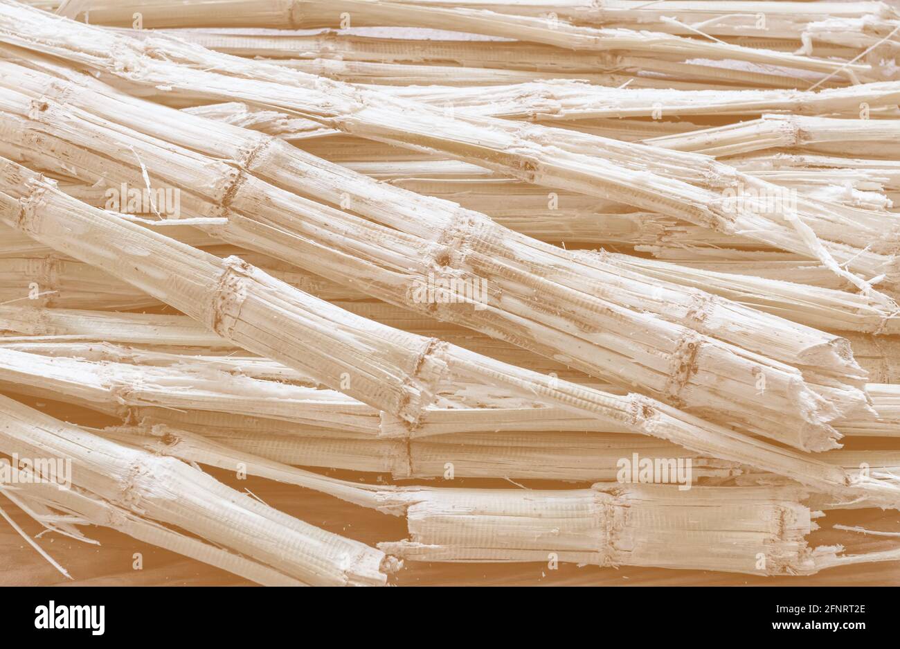 Trash cane hi-res stock photography and images - Alamy