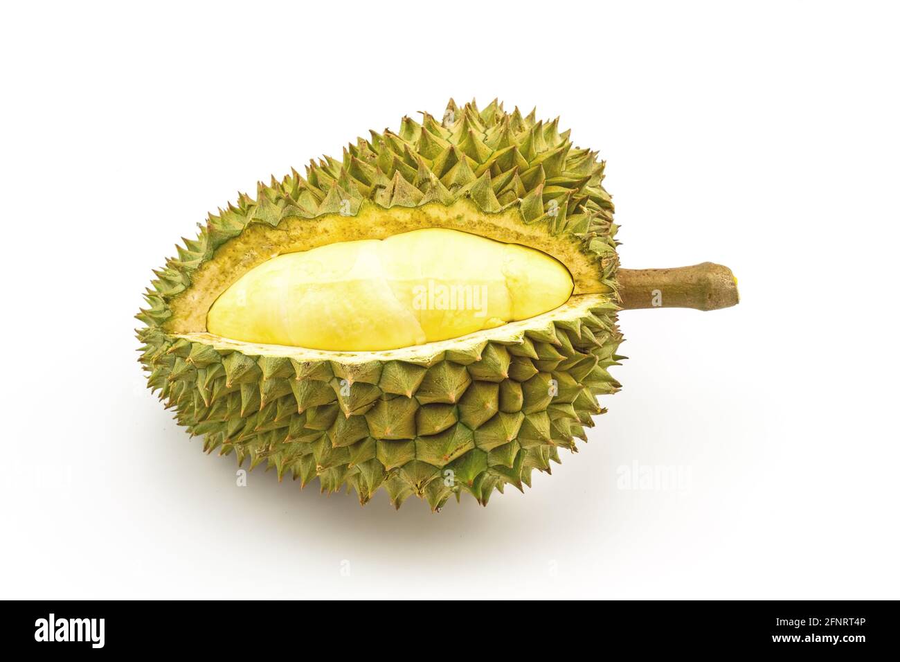 Durian ripe and part with spikes isolated on white background Stock ...