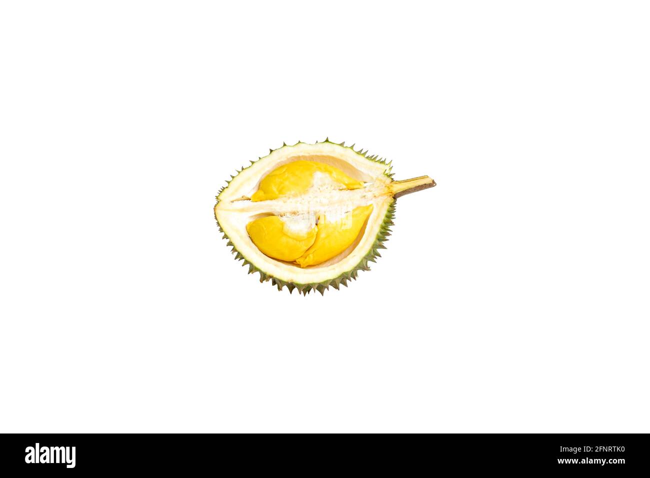 Ripe durian cut in half is ready to eat isolated on white background ...