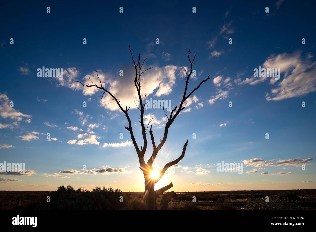 Australian drought landscapes hi-res stock photography and images - Alamy