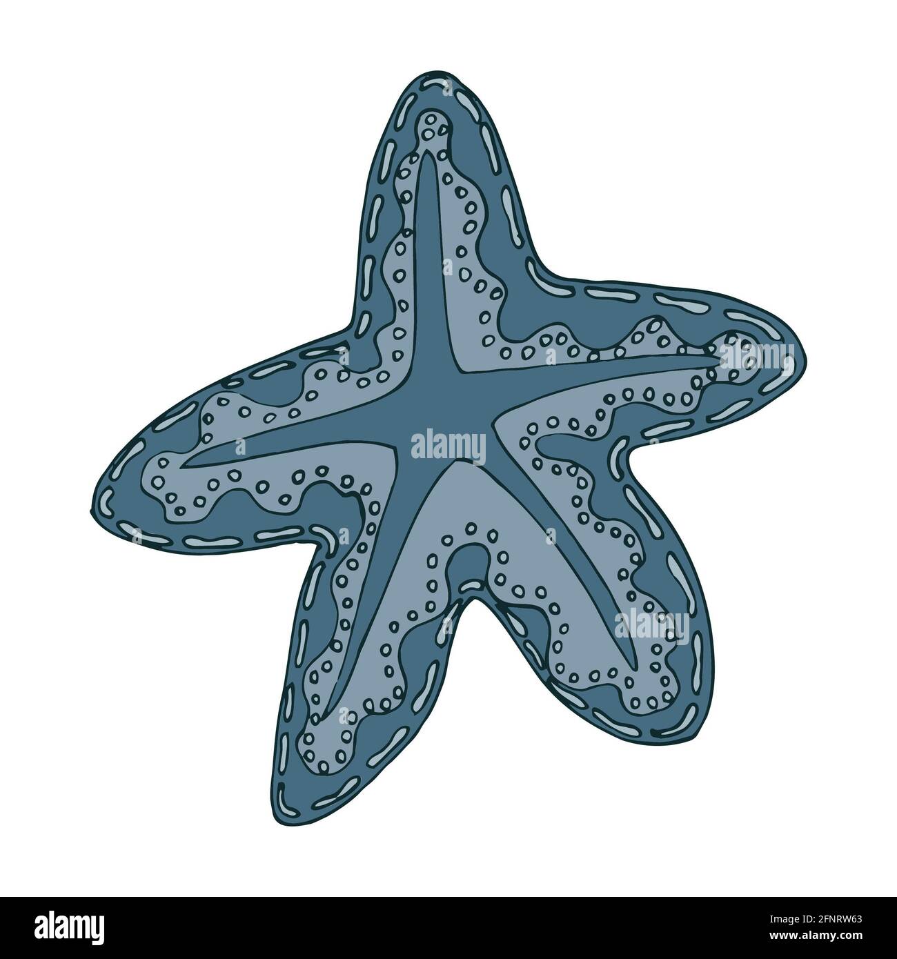 starfish sea vector isolated hand drawing sketch blue Stock Photo - Alamy