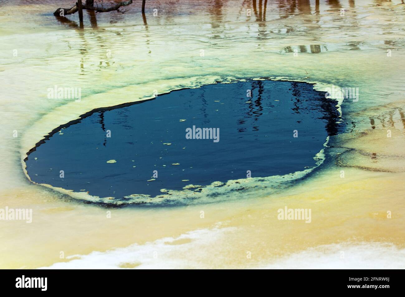 water opening ( polynya), round thawing hole in ice among the rotten ...