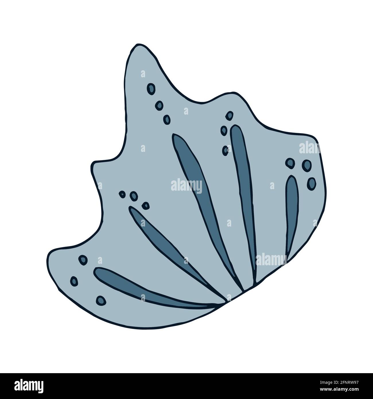 seashell sea vector isolated hand drawing sketch blue Stock Photo - Alamy