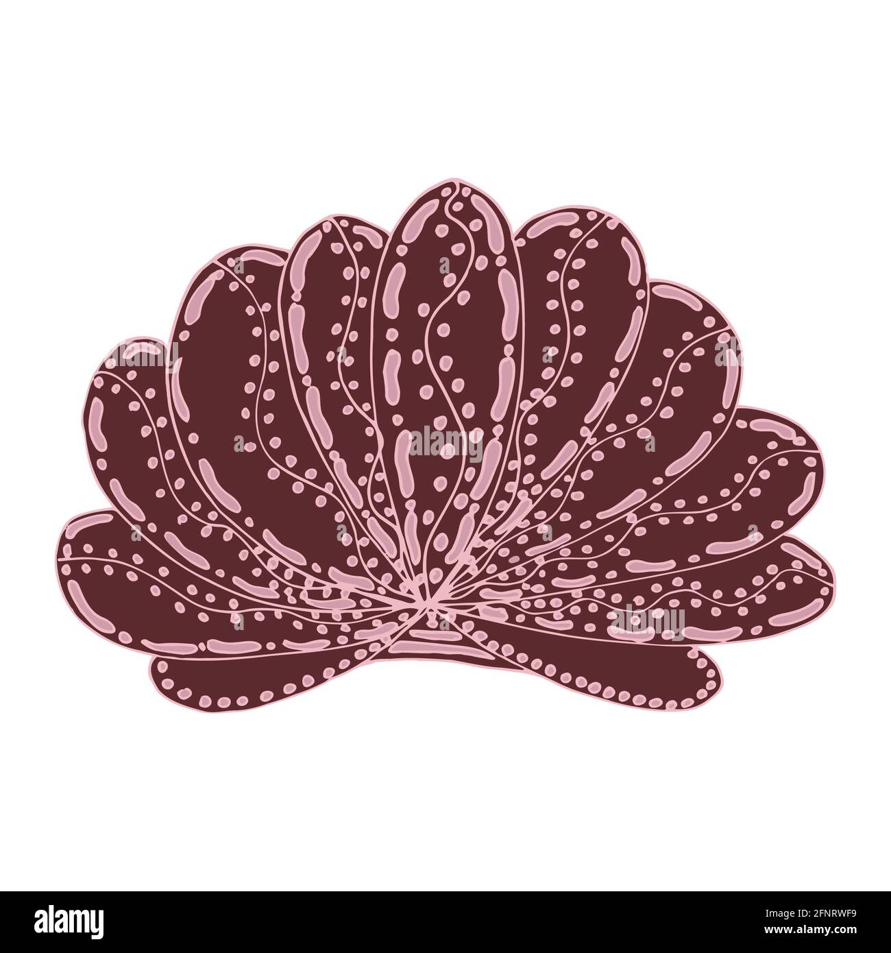 Pink seashells Cut Out Stock Images & Pictures - Alamy