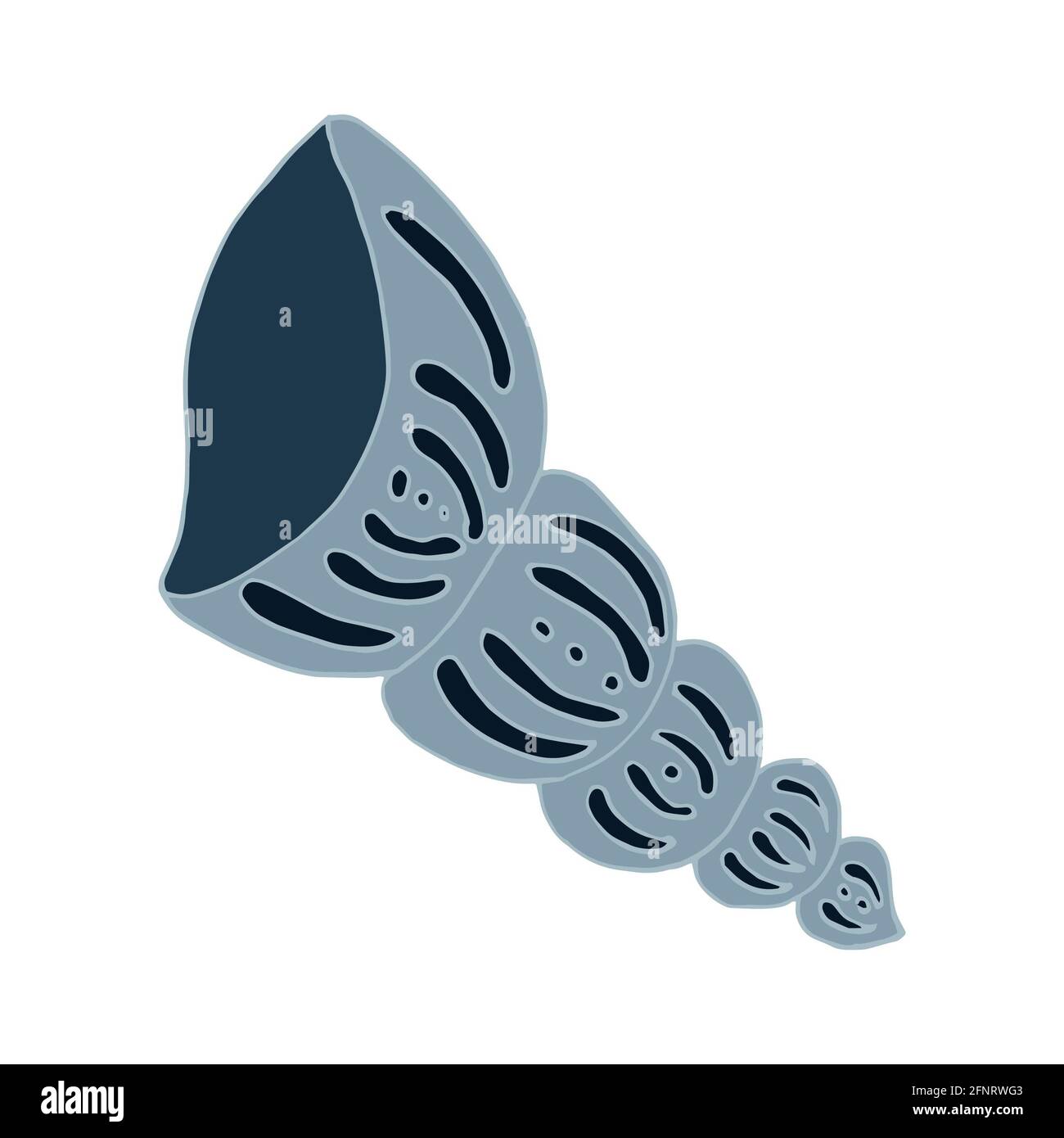 seashell sea vector isolated hand drawing sketch blue Stock Photo - Alamy