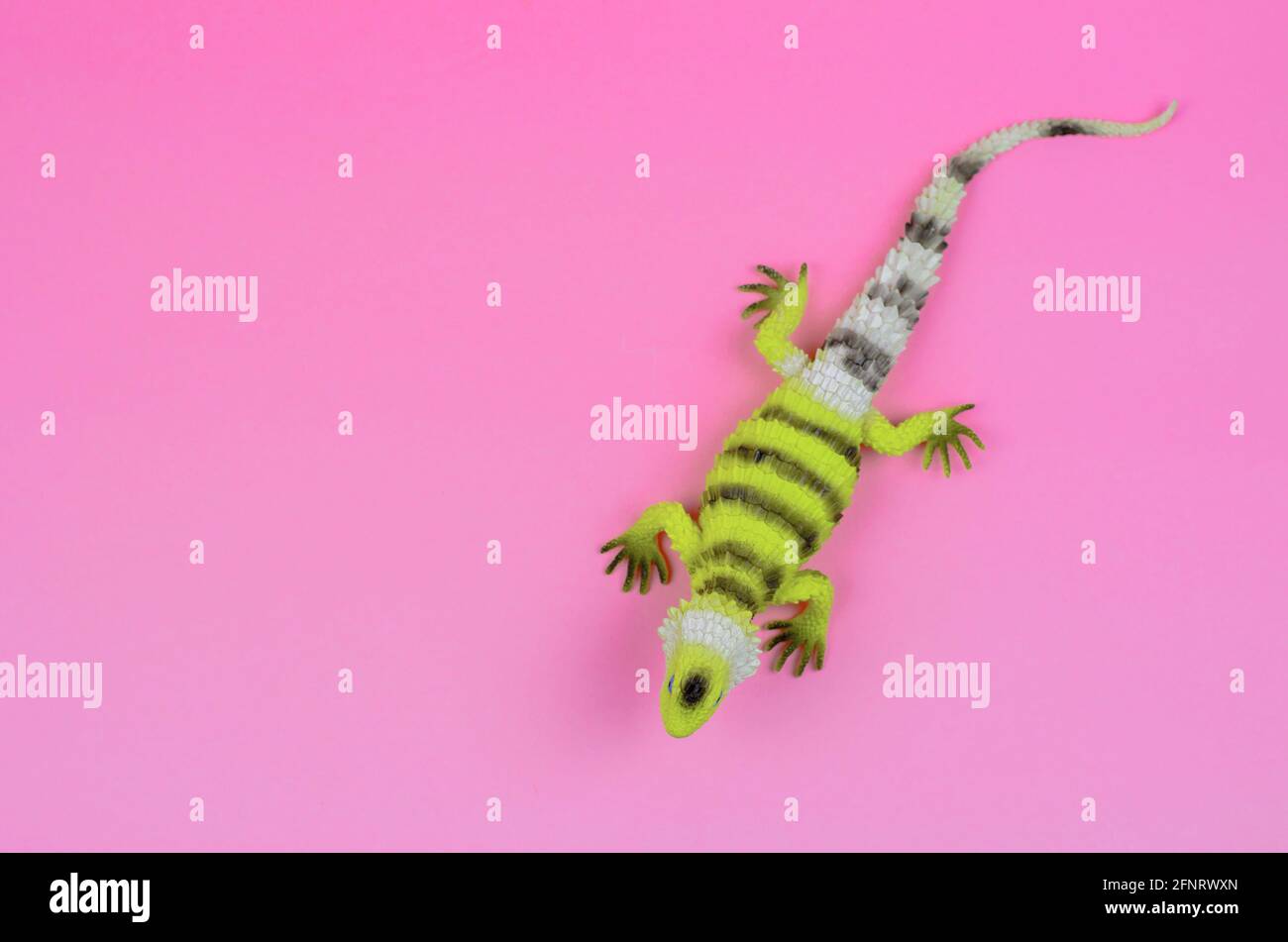 Yellow lizard on a pink background close-up. Children's rubber toys ...