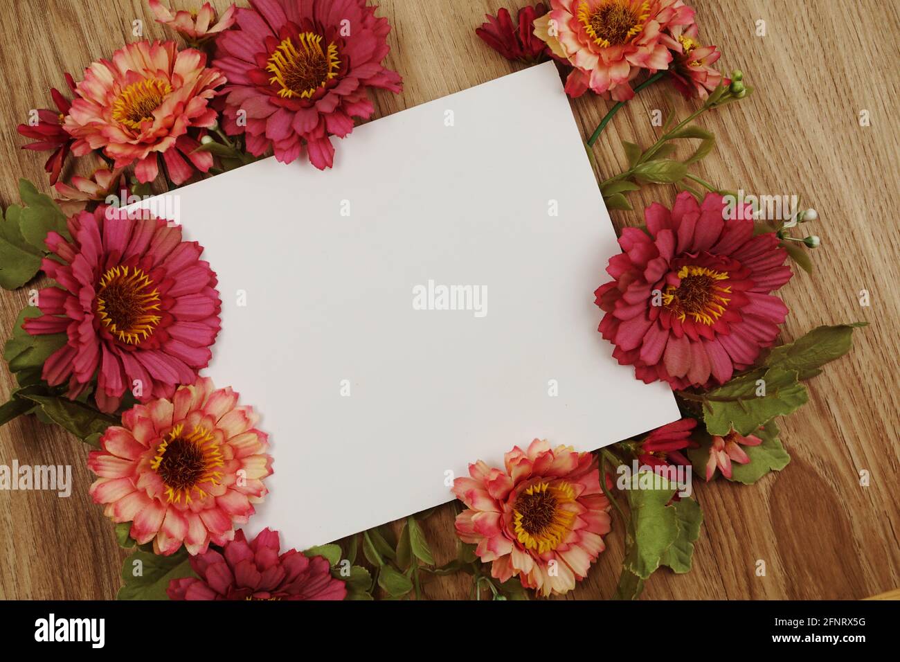 Flat lay of flowers and space copy on wooden background Stock Photo - Alamy