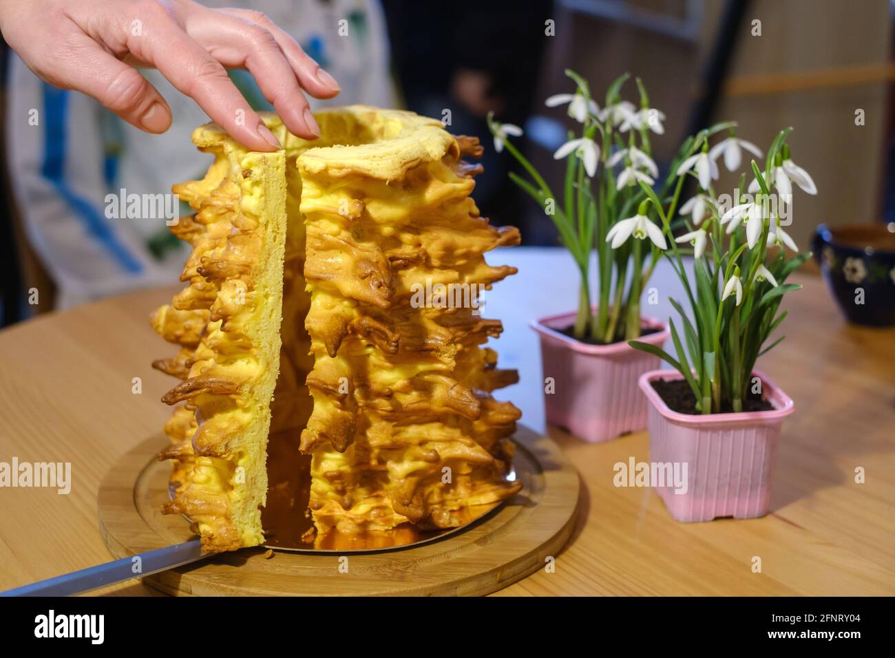Crop woman cutting traditional Lithuanian cake Stock Photo - Alamy