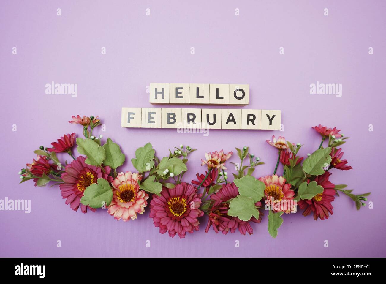Hello February alphabet letters with pink flower decoration on purple ...