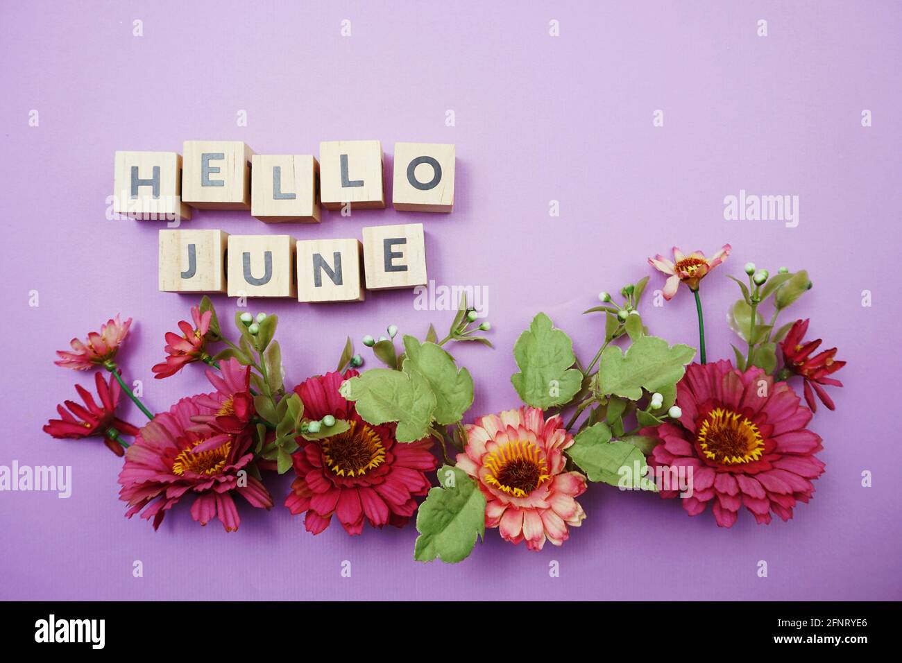 Hello June alphabet letters with pink flower decoration on purple ...