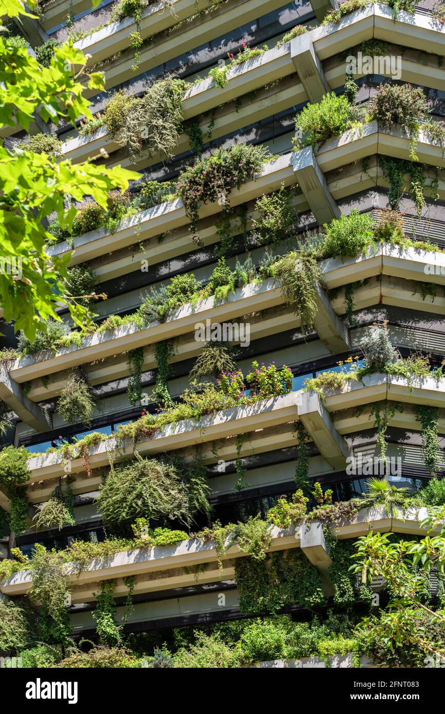 Green Building Facade Details In Barcelona, Spain Stock Photo - Alamy