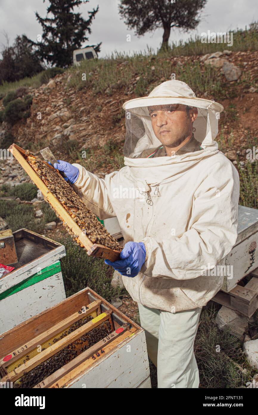 Beekeepers holiday hi-res stock photography and images - Alamy