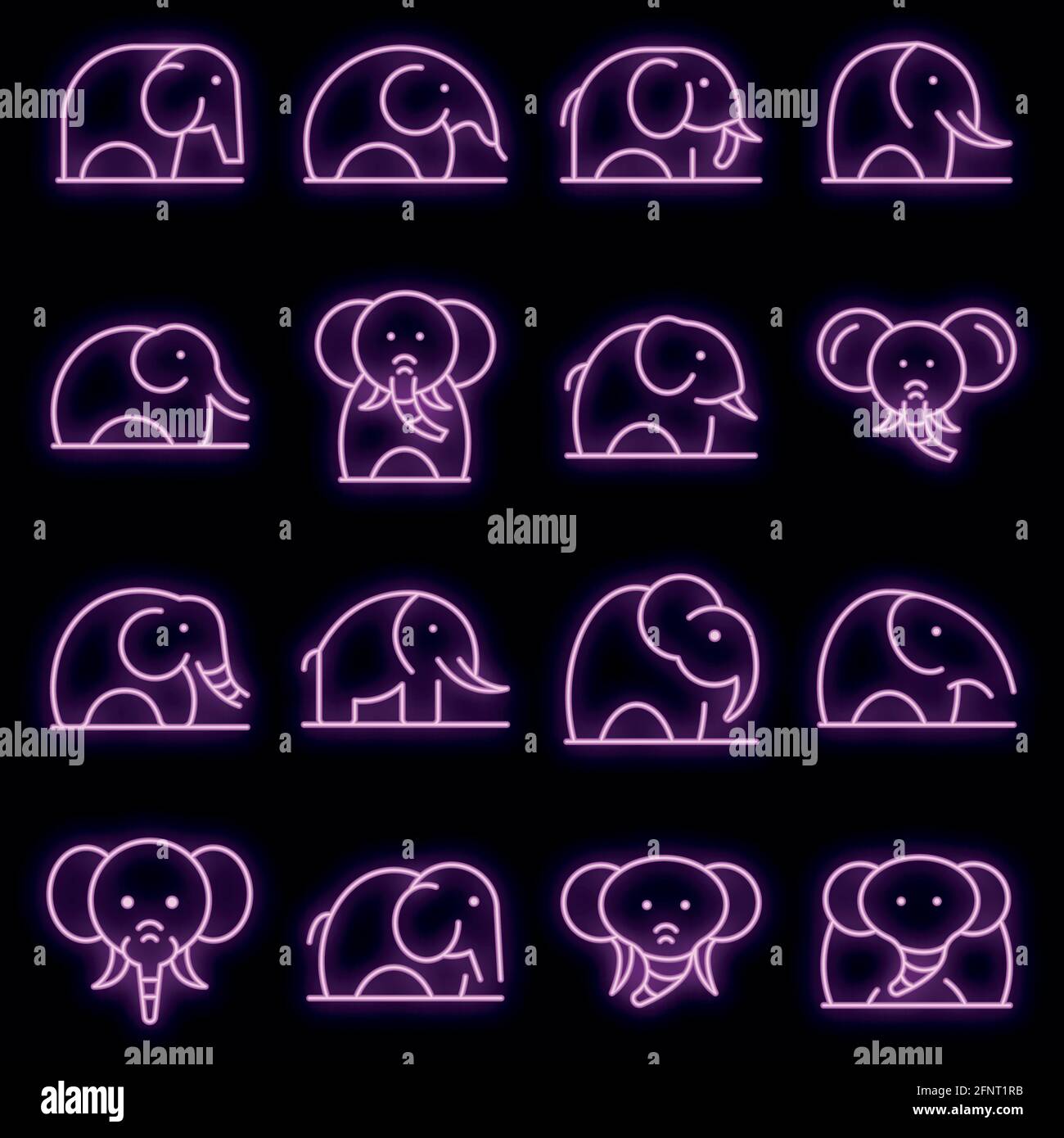 Elephant icons set. Outline set of elephant vector icons neon color on ...