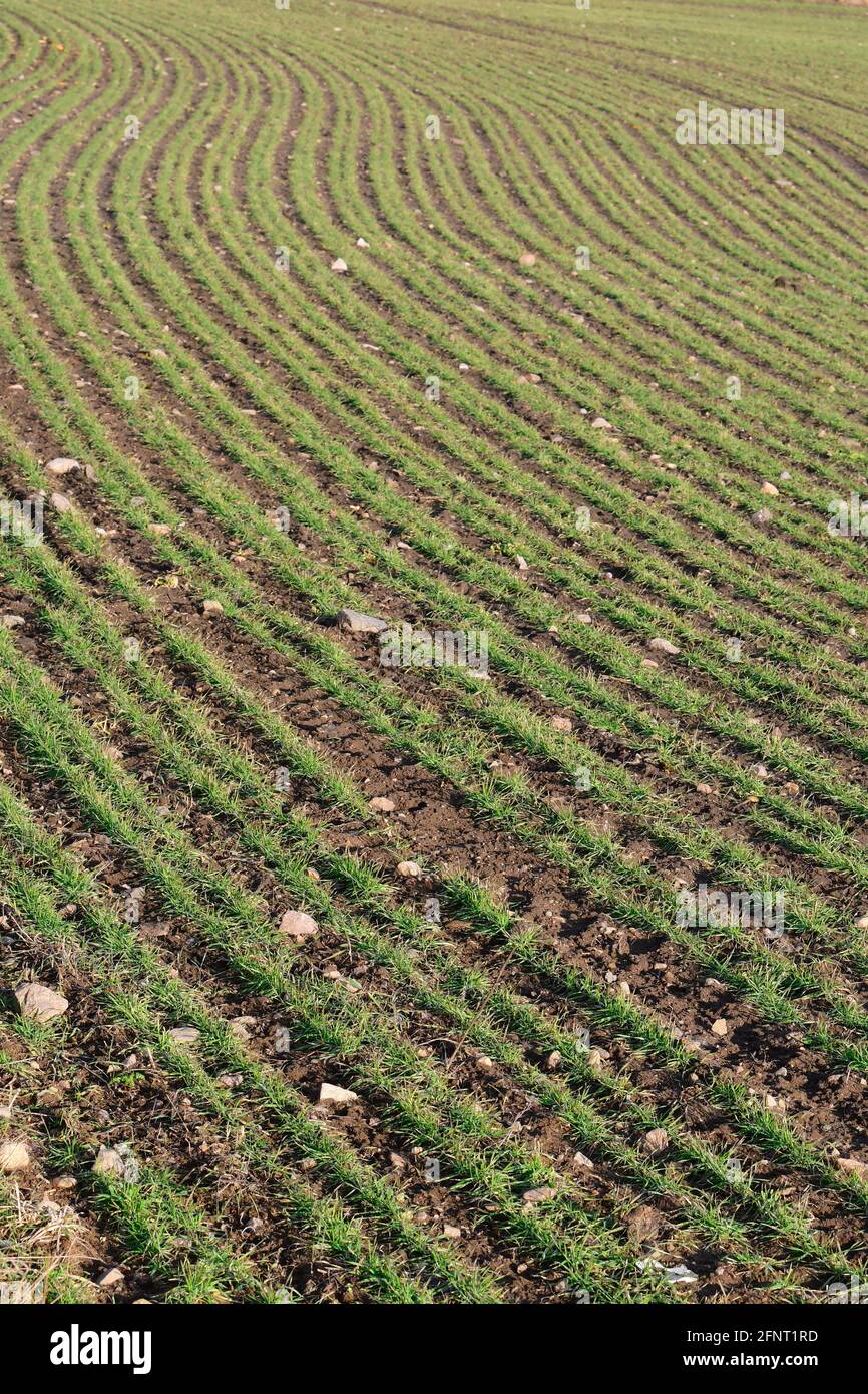 Farm land pattern hi-res stock photography and images - Alamy