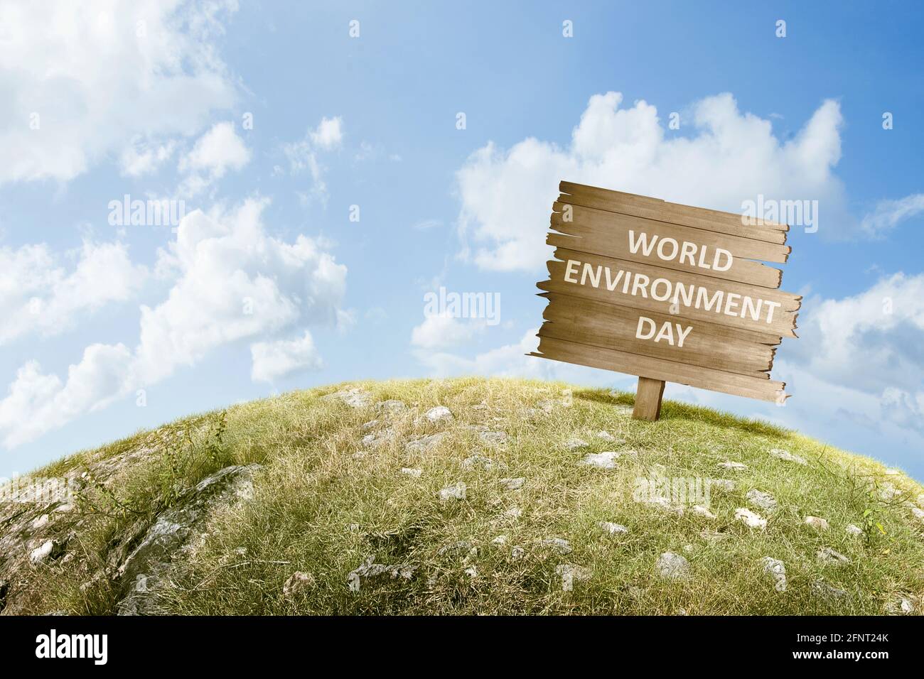 Meadow field with World environment day text on the wooden sign with a ...