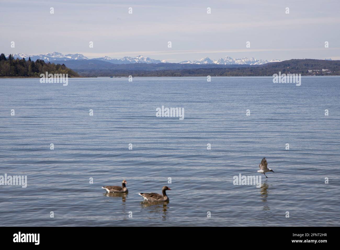 Ammersee or Lake Ammer,Herrsching, Upper Bavaria, Germany,Europe Stock ...