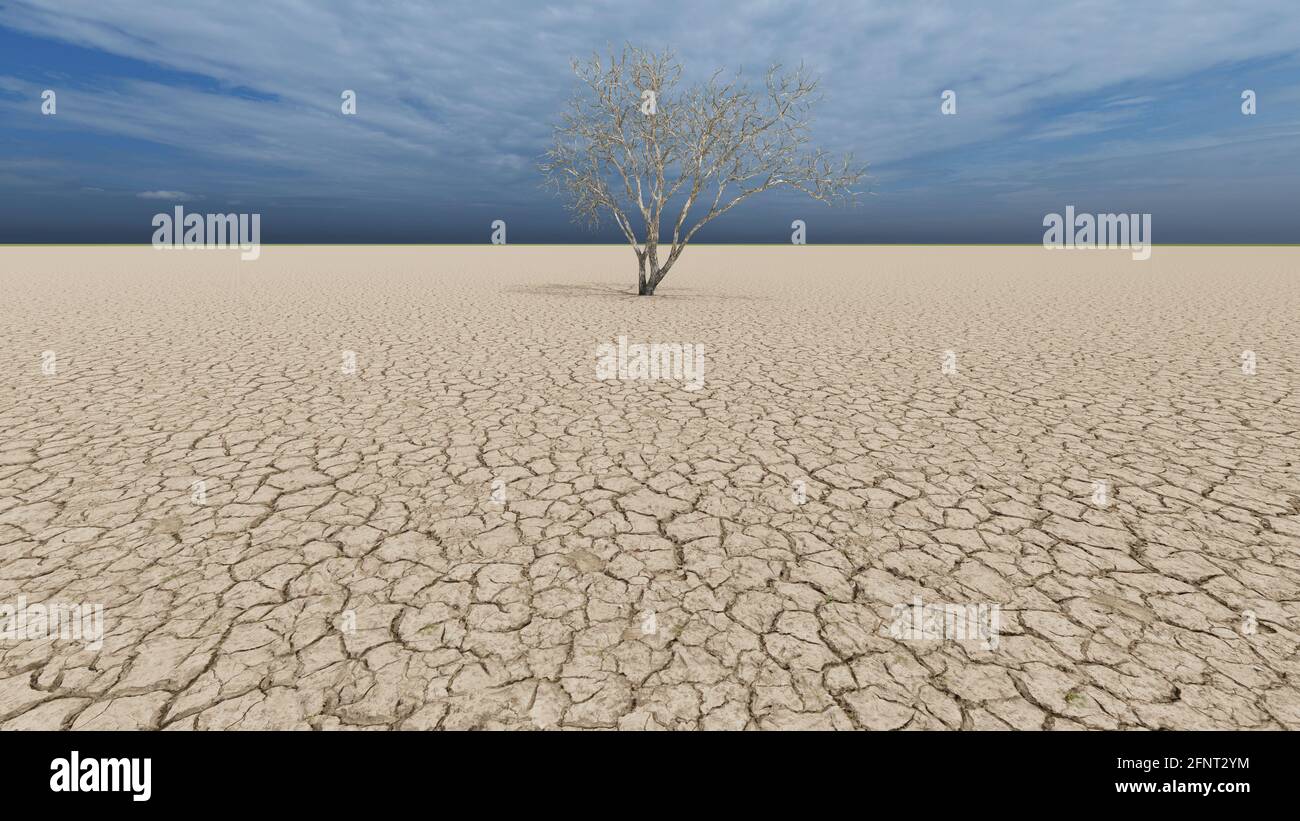 Concept or conceptual desert landscape with a parched tree as a ...
