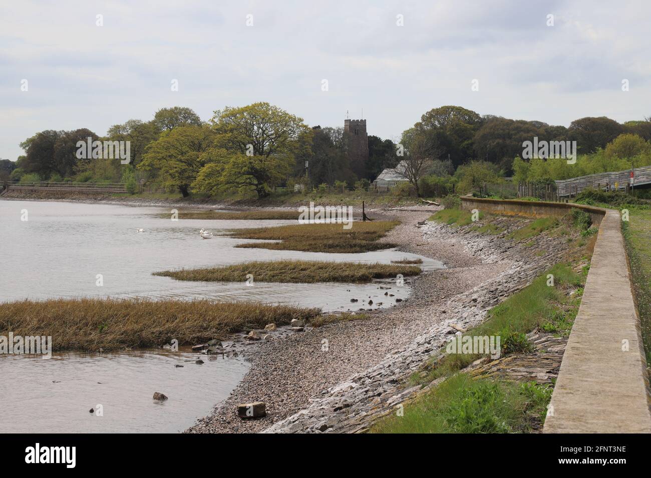 river side walk along Exe estuary Stock Photo - Alamy