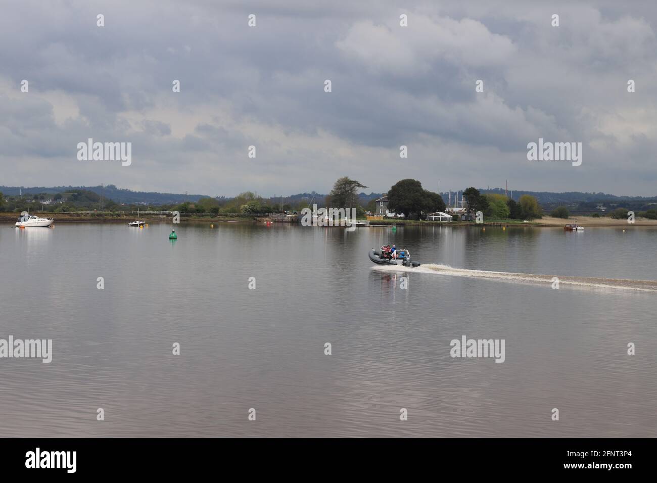 river exe estuary in Devon Stock Photo - Alamy