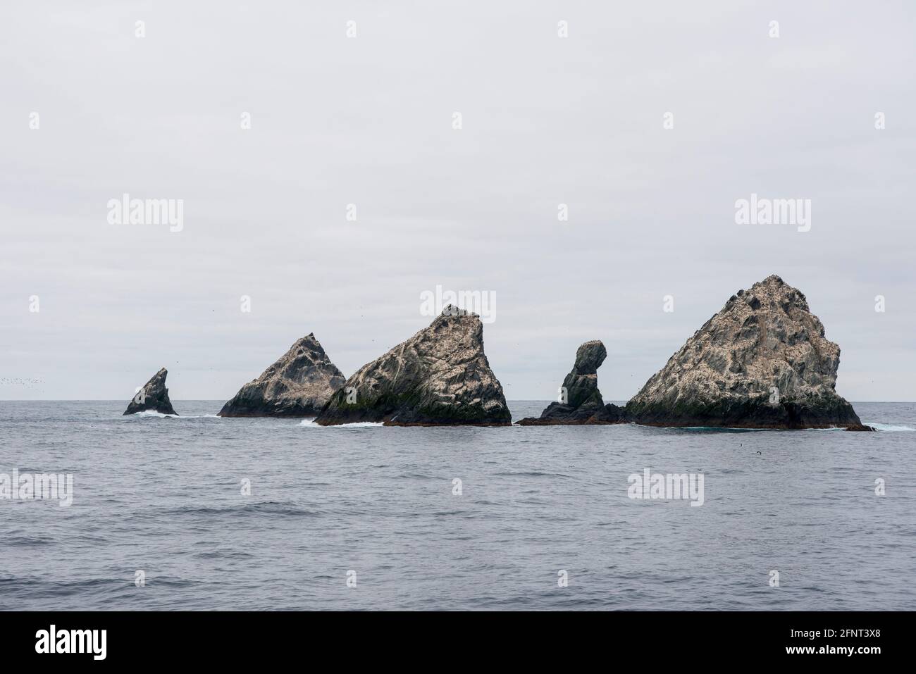 Shag Rocks between South Georgia and Falkland Islands Antarctica Stock ...
