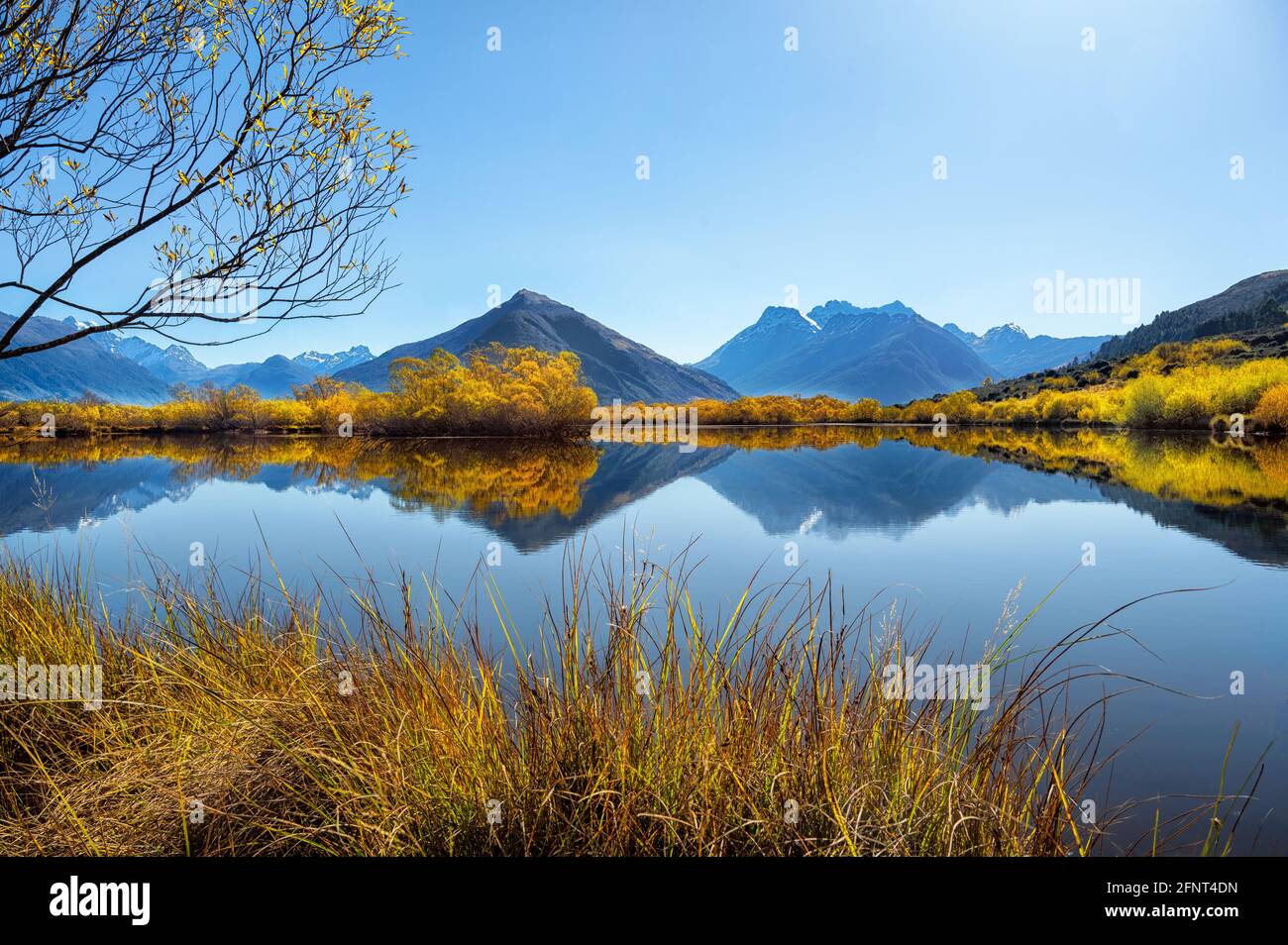 New zealand the lagoon hi-res stock photography and images - Alamy