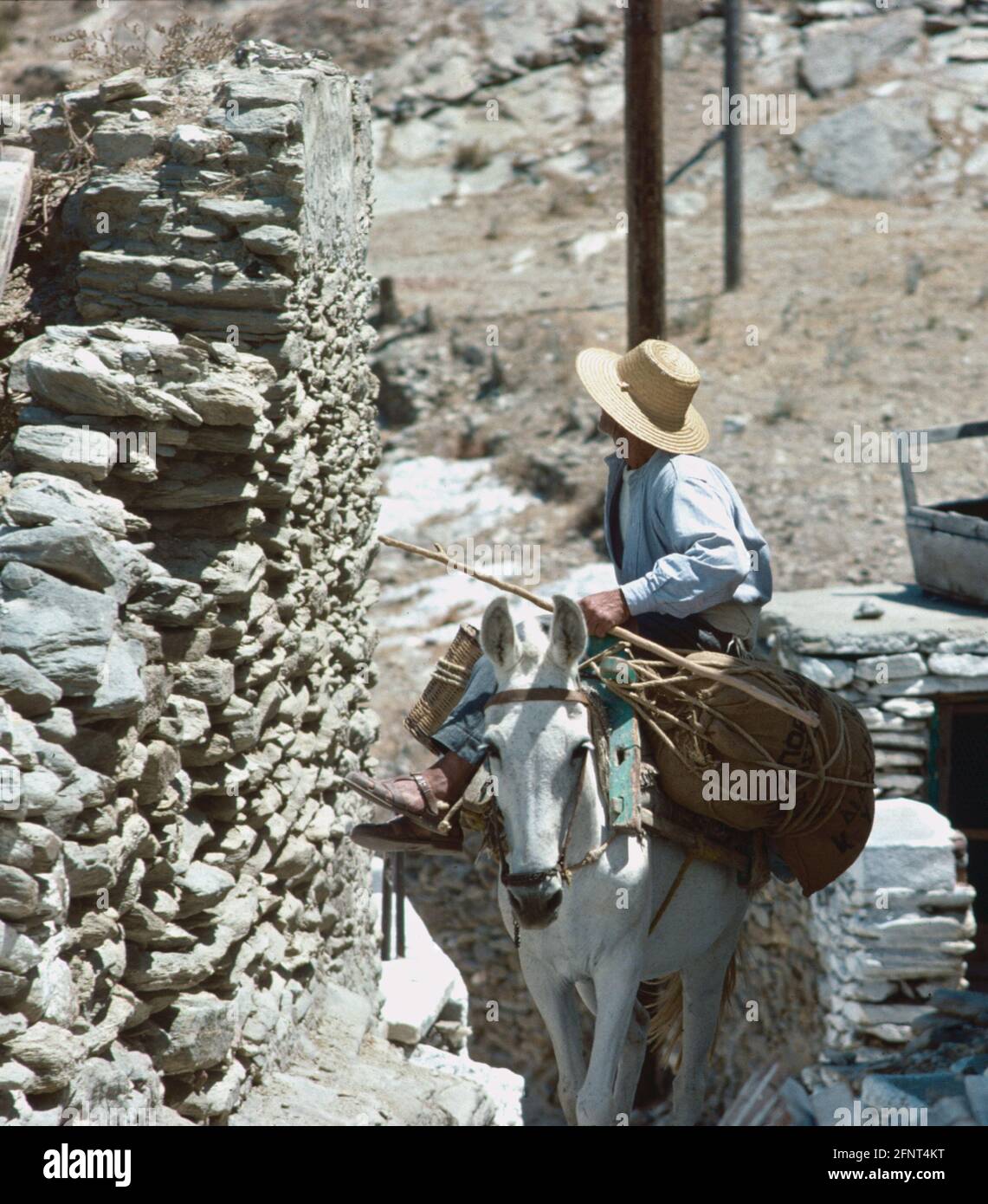 Donkey Rider High Resolution Stock Photography and Images - Alamy