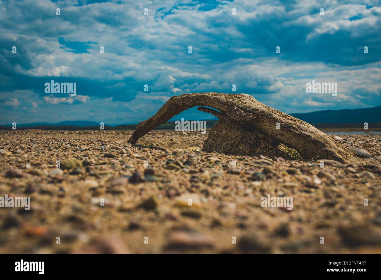 Wood log shore mountains hi-res stock photography and images - Alamy