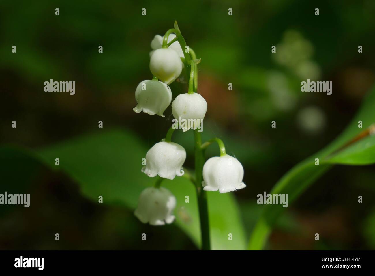 Valley of tears hi-res stock photography and images - Alamy
