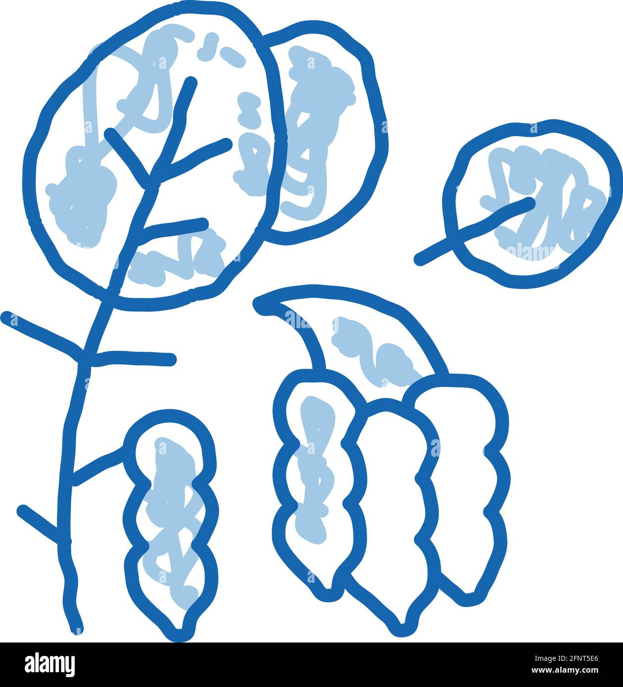soy beans plant doodle icon hand drawn illustration Stock Vector Image ...