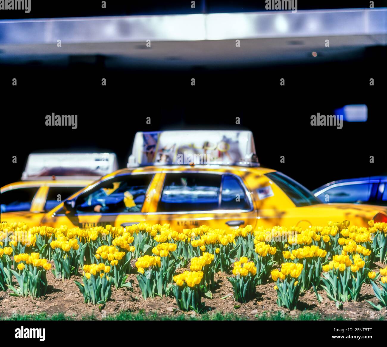 2005 HISTORICAL YELLOW TAXI CAB (©FORD MOTOR CO 2000) PARK AVENUE ...