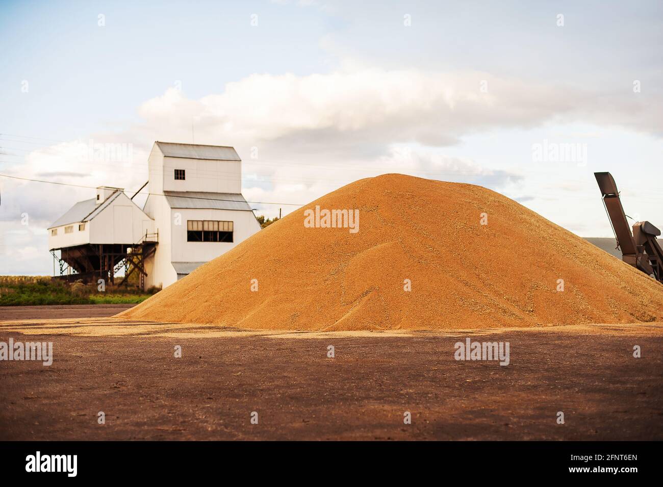 Grain storage silos. Harvest concept. Hill of grain, wheat, rye, barley ...