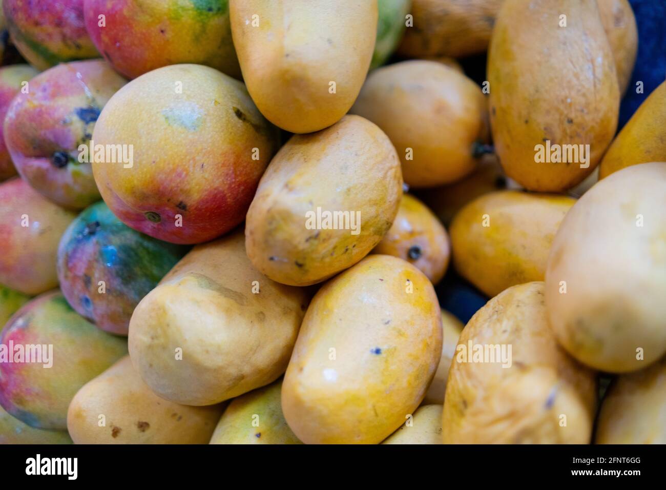 Close-up of colorful fruit stand with piles of mangoes Stock Photo - Alamy